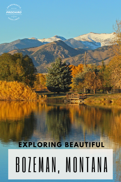 Find the Best Flights to Bozeman, Montana - Planning a Trip? - Pro Chiro